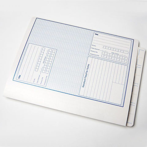 TIMG Formfile-FF5 File Covers for sale