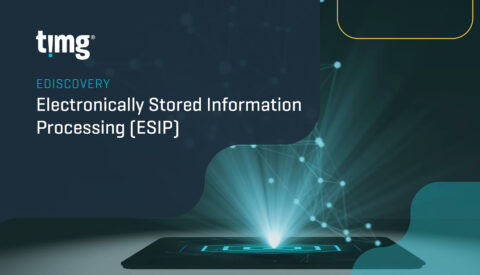 Electronically Stored Information Processing